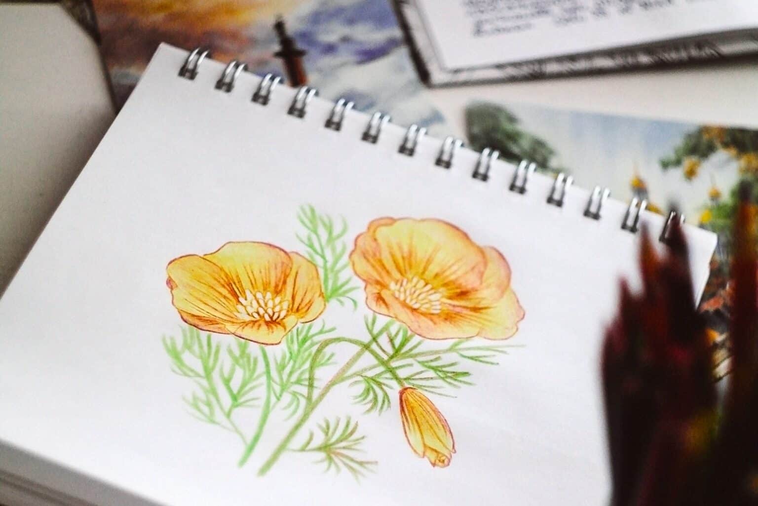 7 Different Types Of Coloring - The Creative Folk