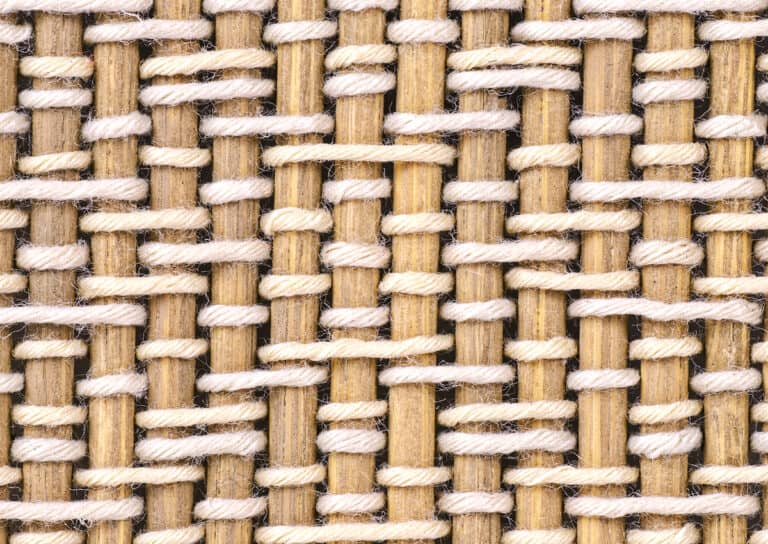 Bamboo Vs Rattan - The Important Differences - The Creative Folk