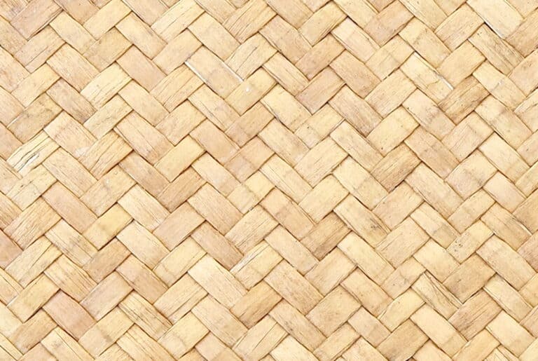 Bamboo Vs Rattan - The Important Differences - The Creative Folk