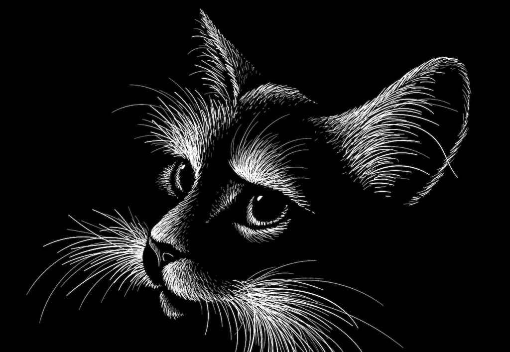 9 Best Scratch Art For Adults - The Creative Folk