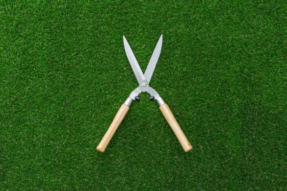 The Best Glue For Popsicle Sticks - The Creative Folk